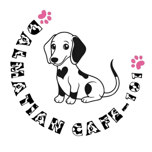 料金表 | DALMATIAN CAFE 101